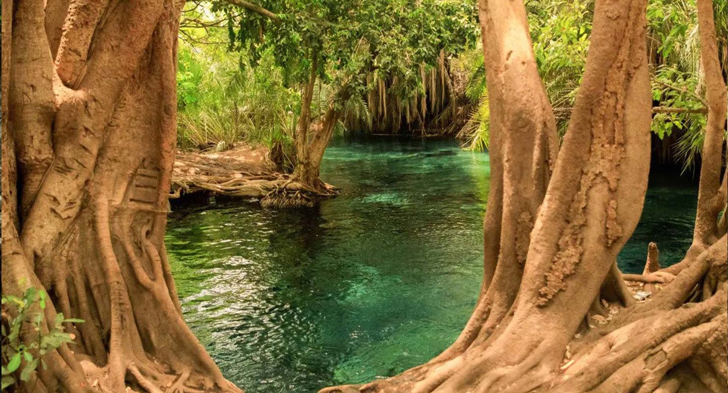 Kikuletwa (Chemka) Hot Springs - Sirikwa Travel
