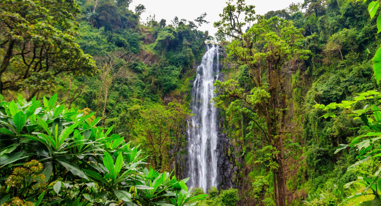 Materuni Waterfalls - Sirikwa Travel