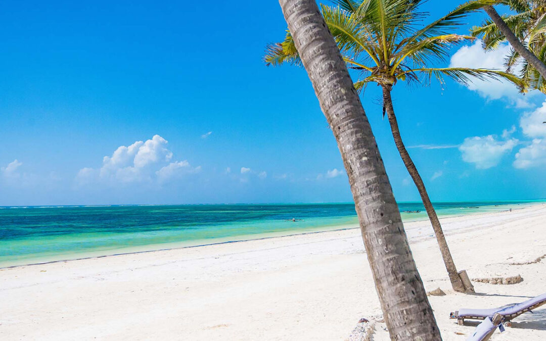 Beach and Bush: 2025’s Ultimate Tanzania Safari and Zanzibar Holiday ...