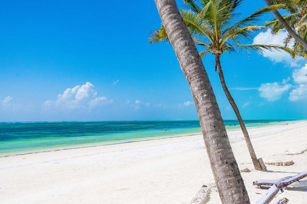 Beach and Bush: 2025’s Ultimate Tanzania Safari and Zanzibar Holiday ...