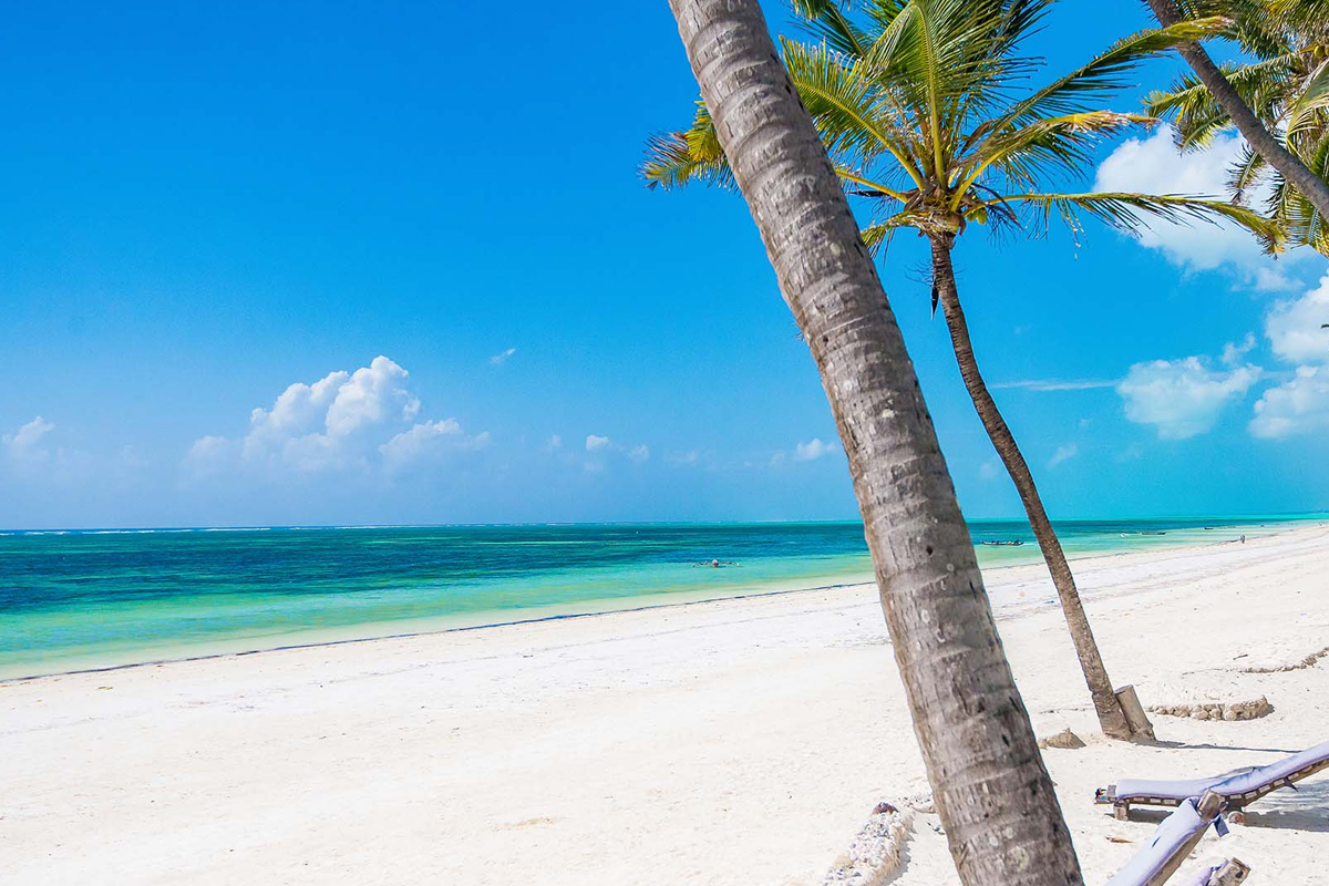 Beach and Bush: 2025’s Ultimate Tanzania Safari and Zanzibar Holiday ...